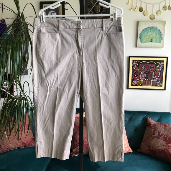 Talbots | Pants & Jumpsuits | Talbots Size 2 Petite Beige Stretch ...